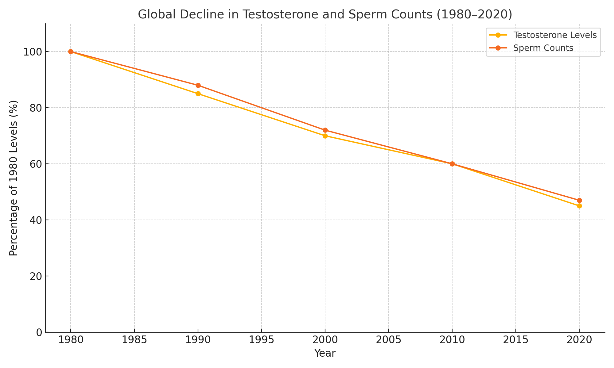 Testosterone and Hormonal Health: What Everyone Needs to Know - Evolve ...